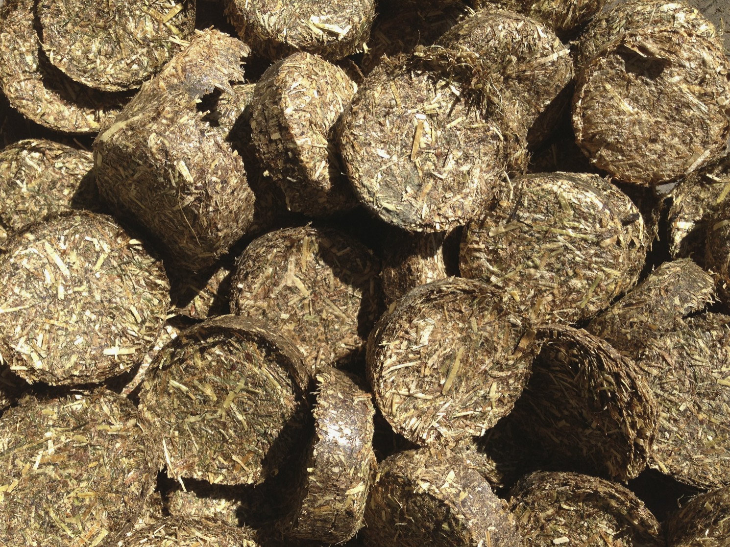 BioEnergy Lists: Biochar Mailing Lists | Sharing technical and event ...